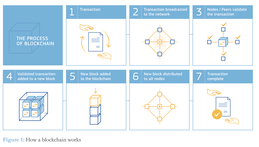 TRUSTING A TRUSTLESS NETWORK. The Paradoxes of Trust in Blockchain ...