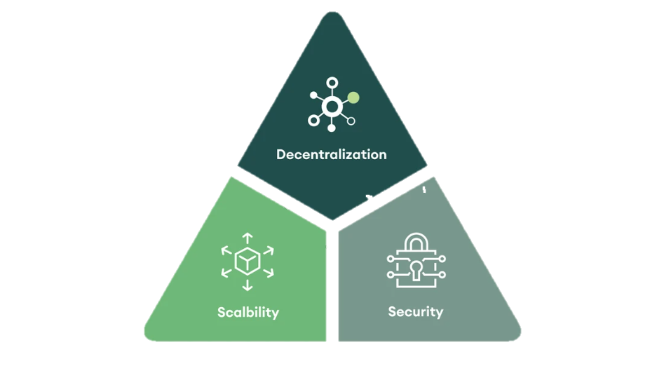 TRUSTING A TRUSTLESS NETWORK. The Paradoxes of Trust in Blockchain ...